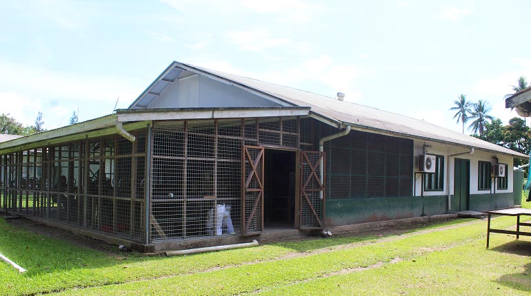 Galip is providing a good family income – The National Agriculture ...